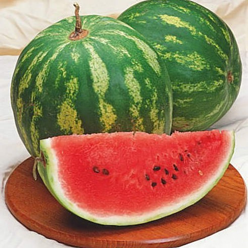 Watermeloen zaden kopen? Alle groentezaden snel bezorgd | 123zaden