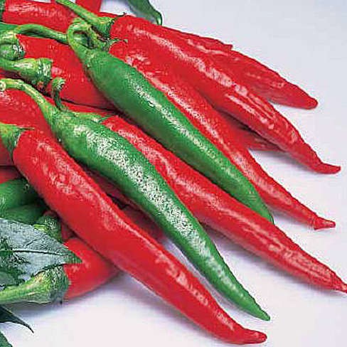 Peper Cayenne rood