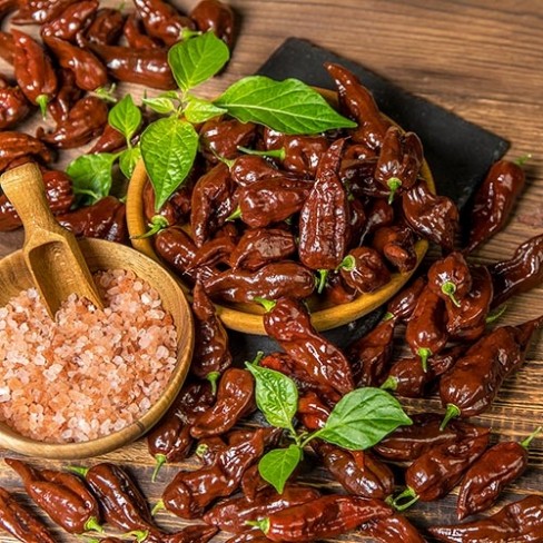 Peper Naga Morich chocolate