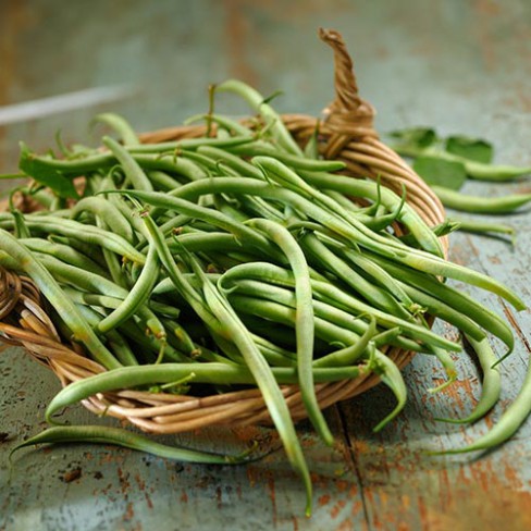 Sperzieboon Top Crop - Peulvruchten - Groentezaden