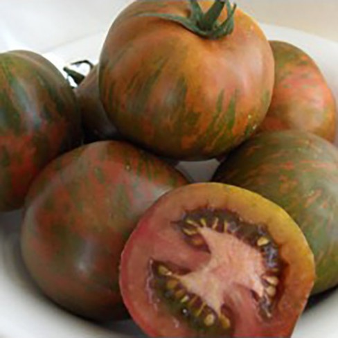 Cherrytomaat Black Zebra